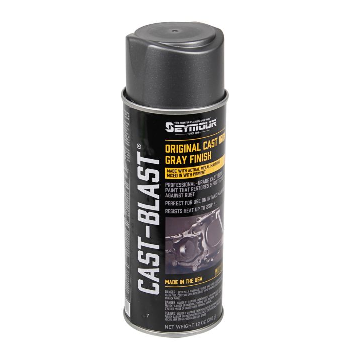 Mustang Paint Cast-Iron Gray Cast-Blast Aerosol