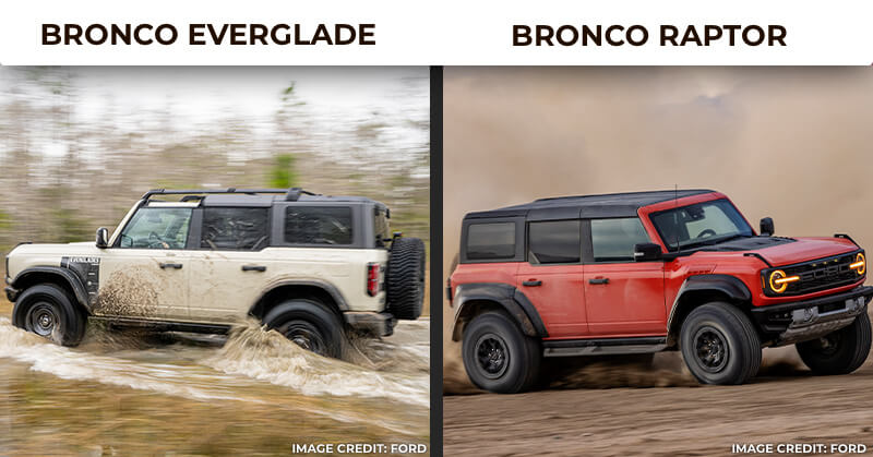 Interesting Bronco Everglades Vs Raptor Gallery