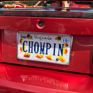 Best Mustang Vanity Plates | Mustang License Plates