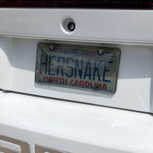 Best Mustang Vanity Plates | Mustang License Plates