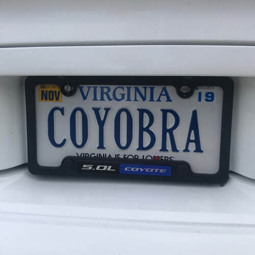 Best Mustang Vanity Plates | Mustang License Plates