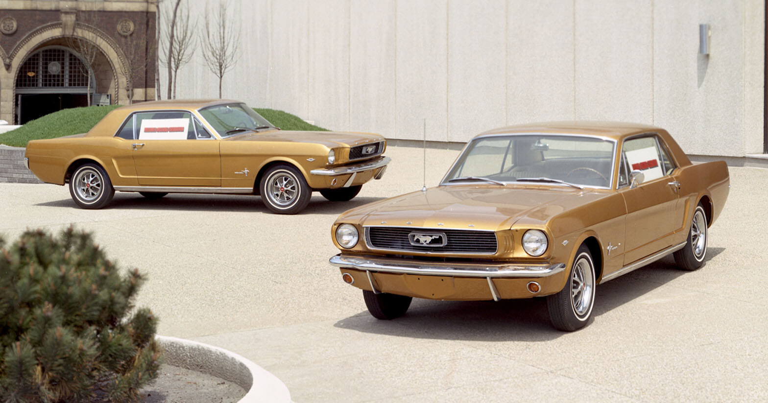 1966 Mustang VIN Decoder 1966 Mustang VIN Decoder